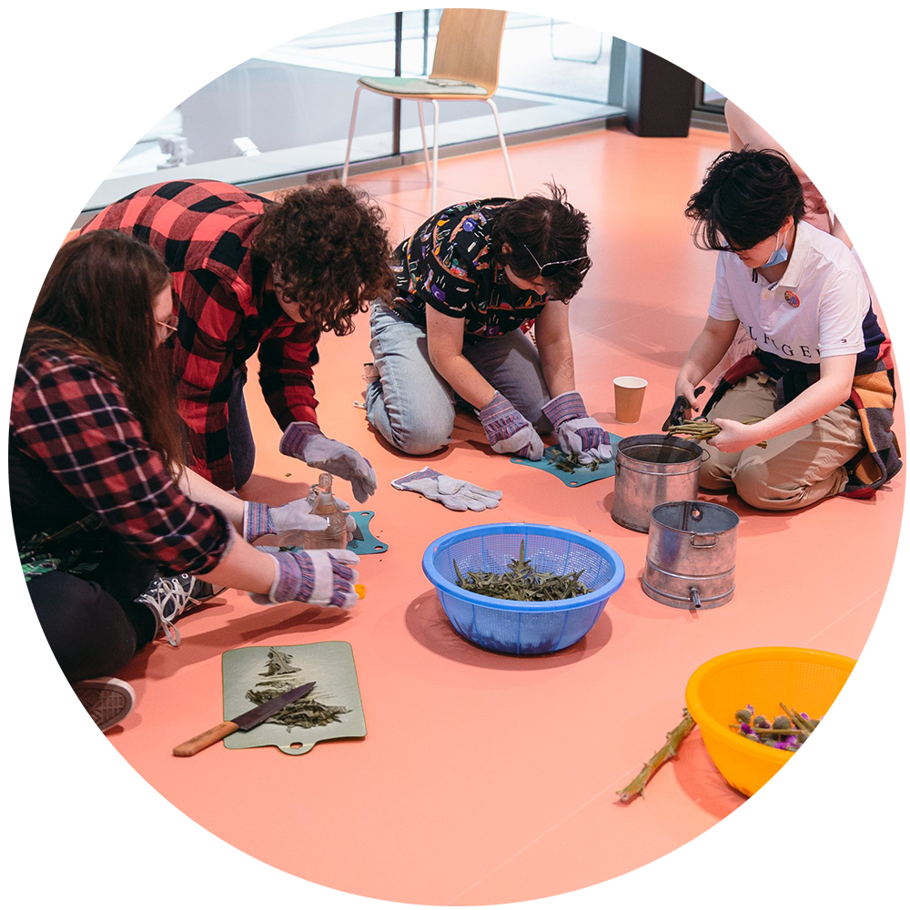 Twenty10_YouthServices – Twenty10 NSW